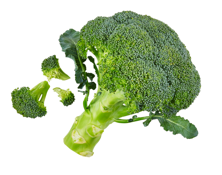 Mählmann Gemüsebau — HofWerte