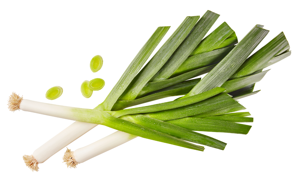 Kürbis Hokkaido — HofWerte