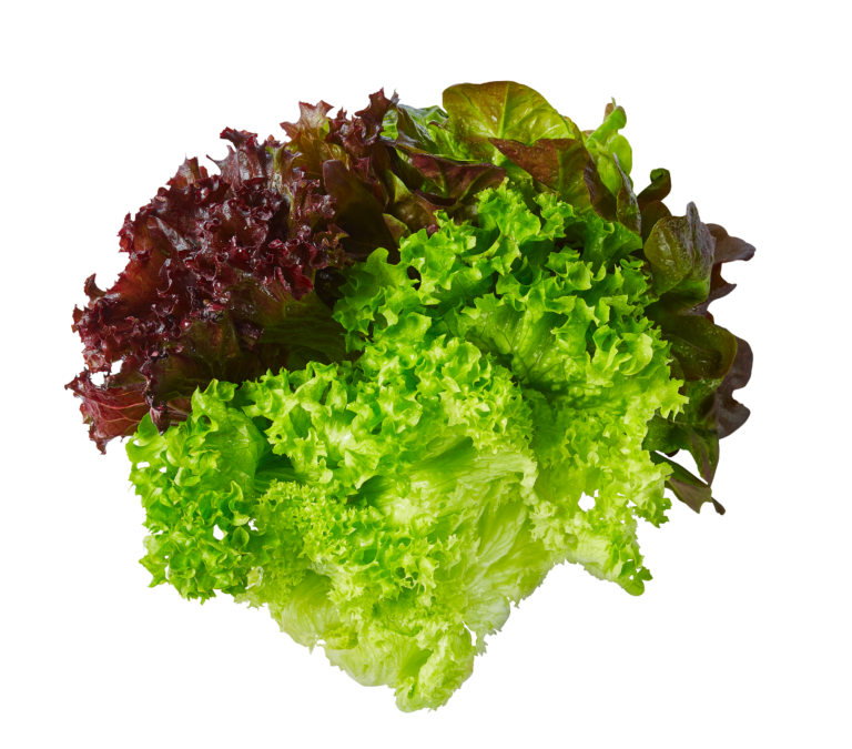 Mix Salat — HofWerte