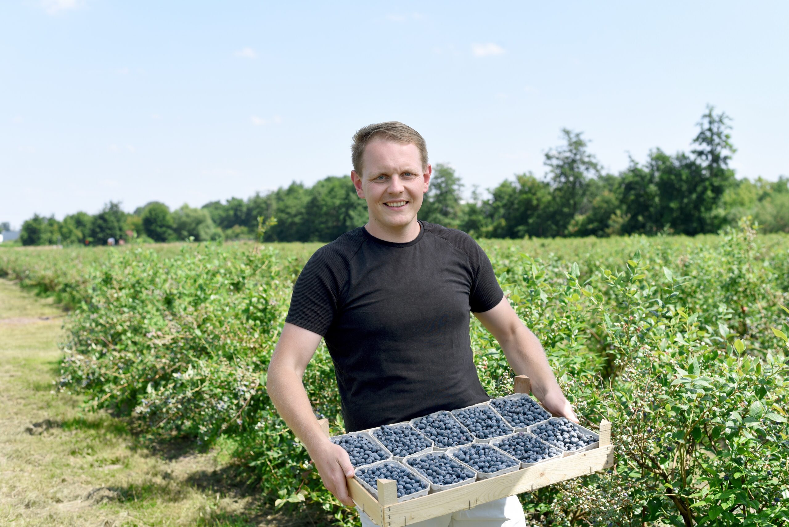 Beerenobst RaJo Ostmann — HofWerte