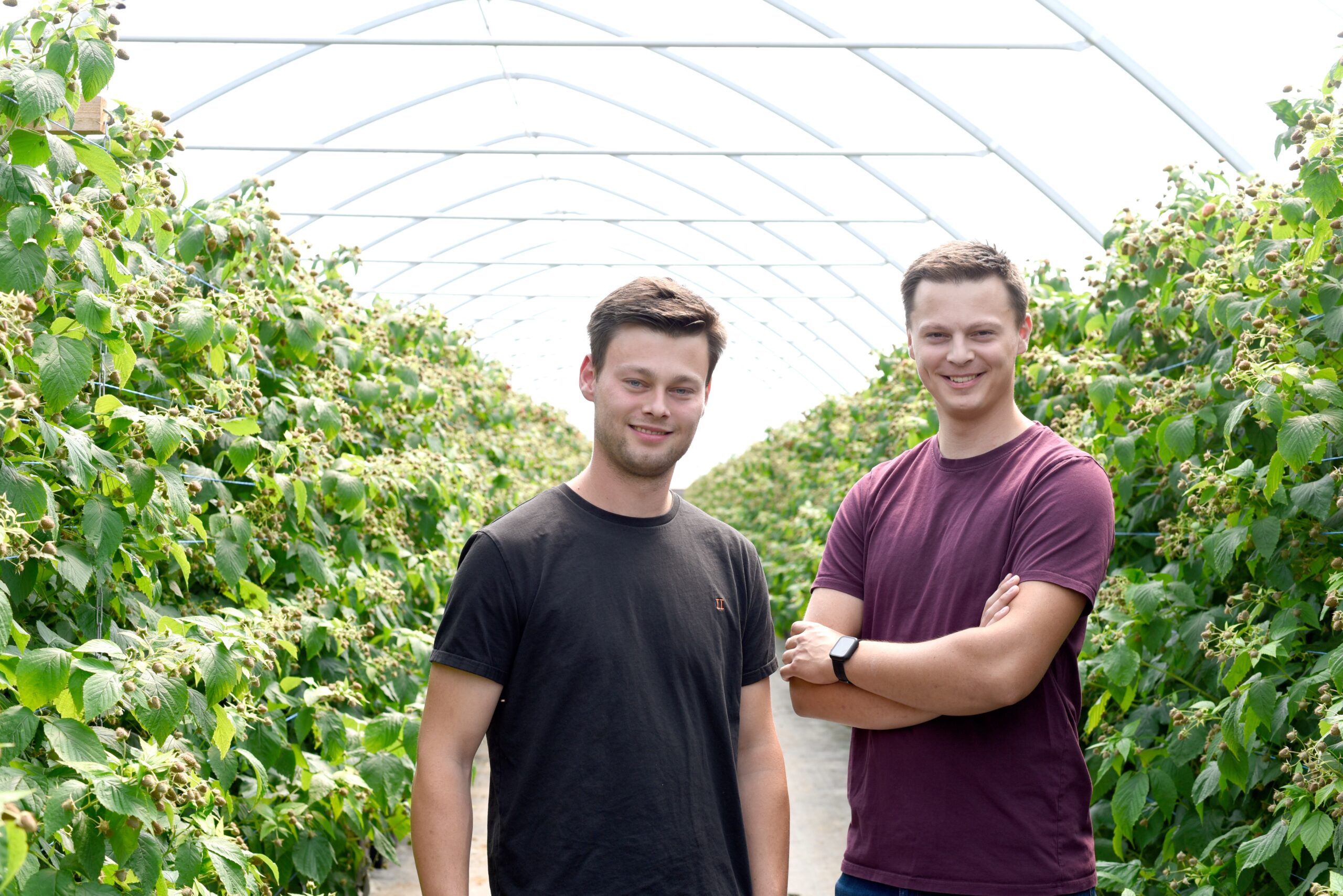 Johannes und Philipp Freese — HofWerte