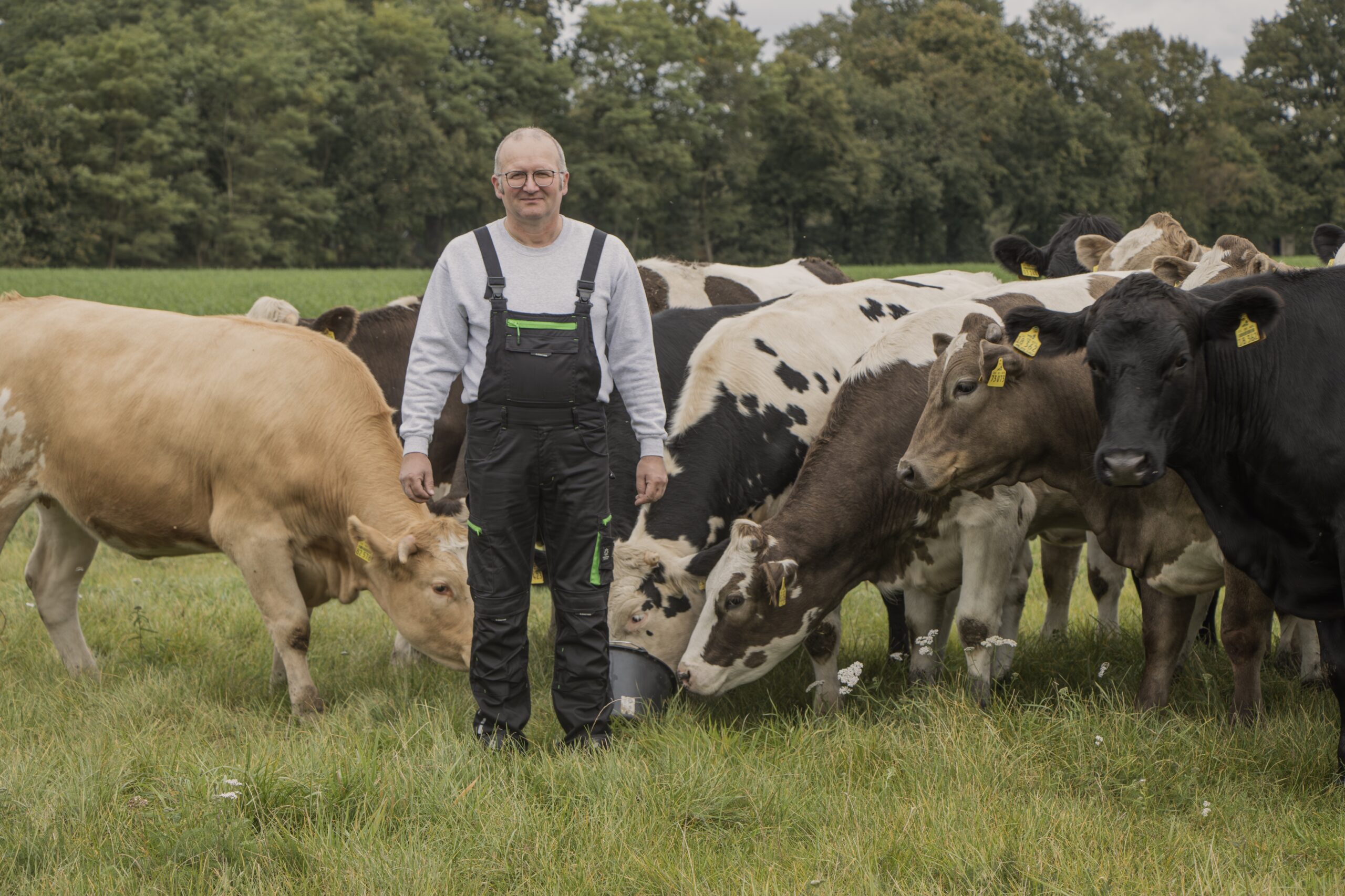 Dietmar Allhusen — HofWerte